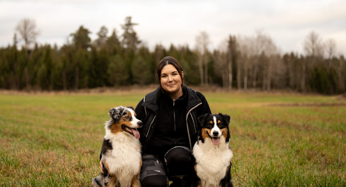 Australian Shepherds uppfödarporträtt - Agria Djurförsäkring